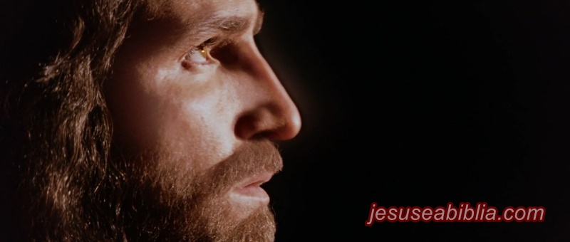 A Ressurreição de Jesus: Da Primeira Aparição à Ascensão ao Céu