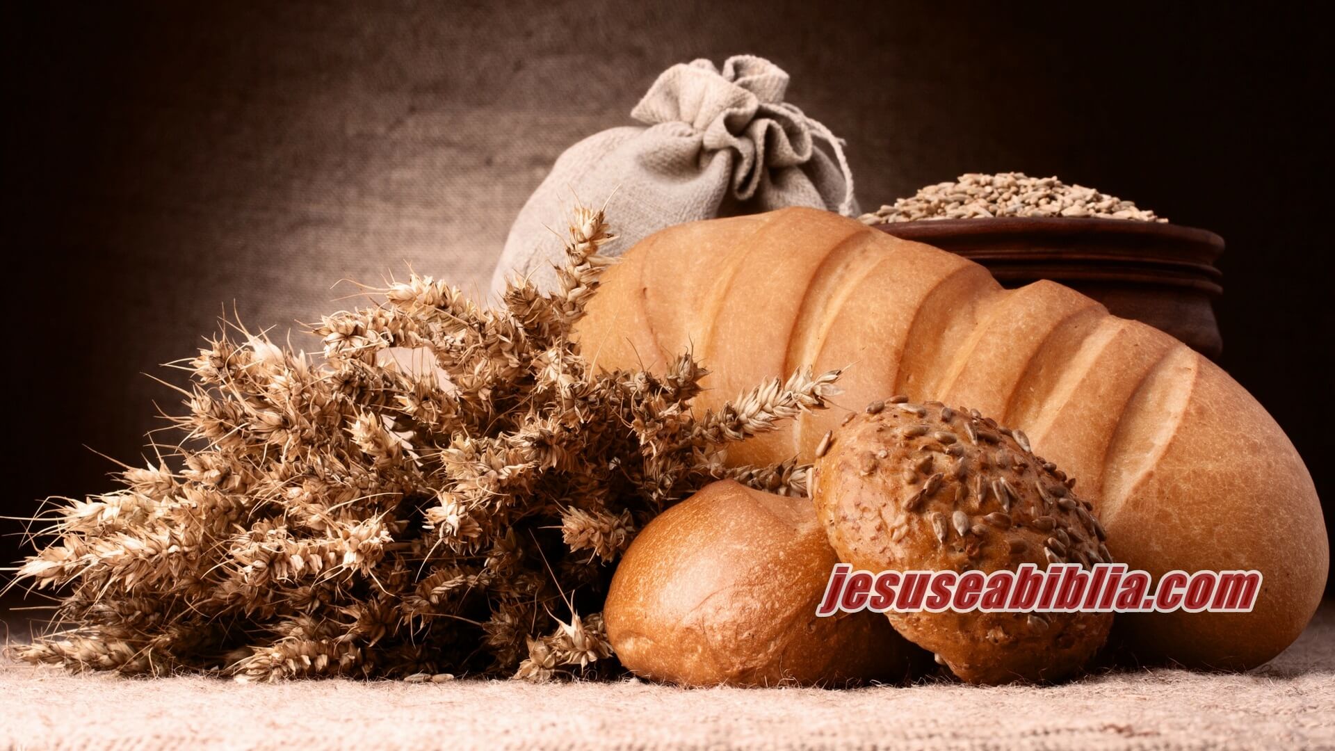 Por que Jesus é o Pão da Vida? - Jesus e a Bíblia