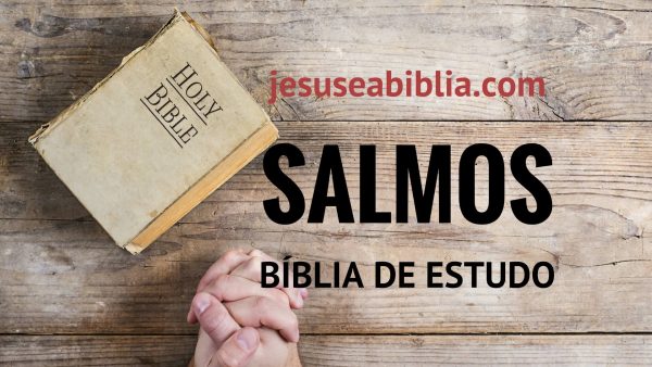 Salmo 17 Estudo: Como pedir proteção contra os inimigos?