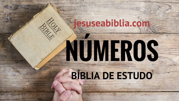 Números 18 Estudo: Qual a função do dízimo na adoração?