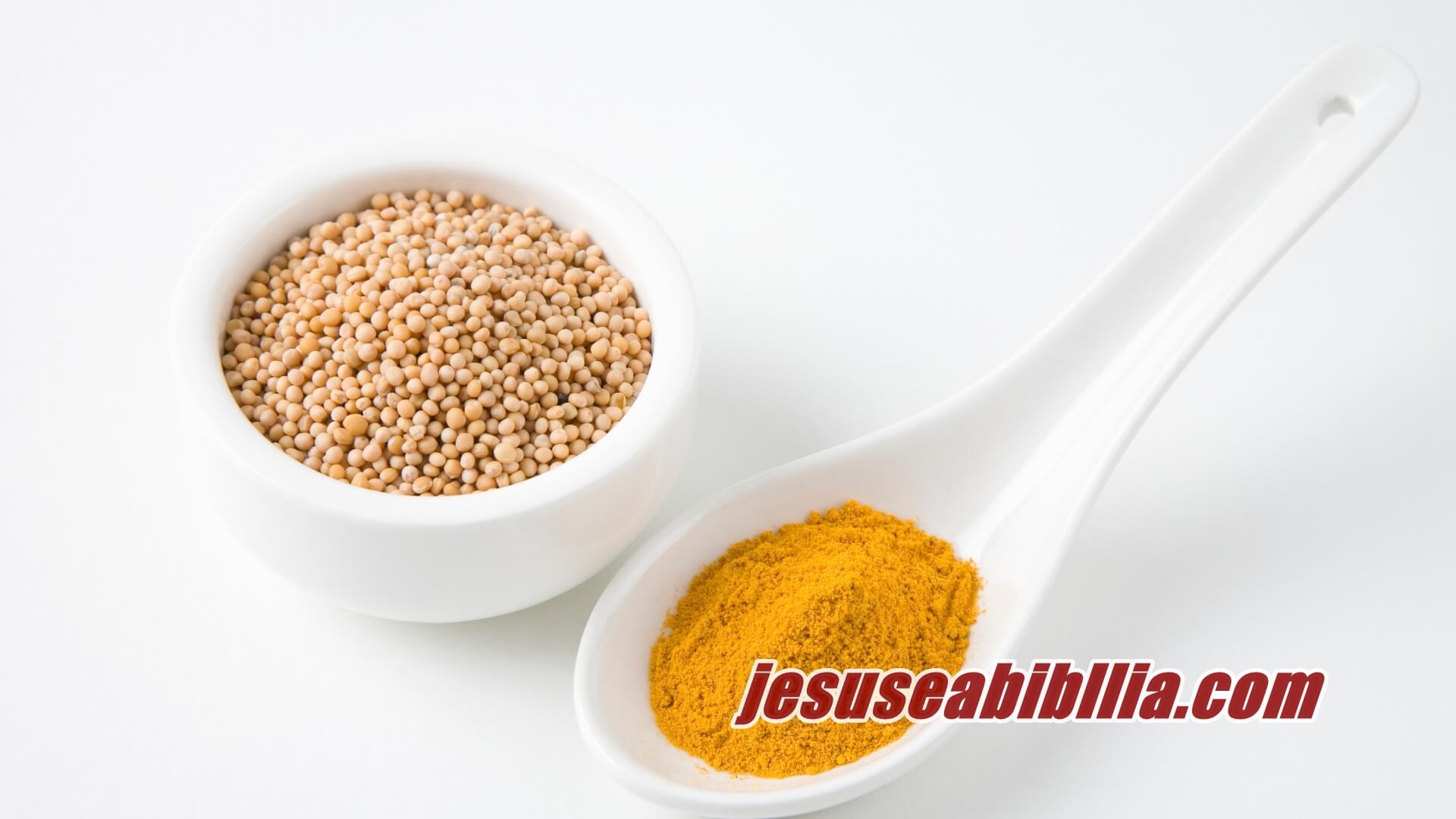 Parábola da Semente de Mostarda e o Crescimento do Reino